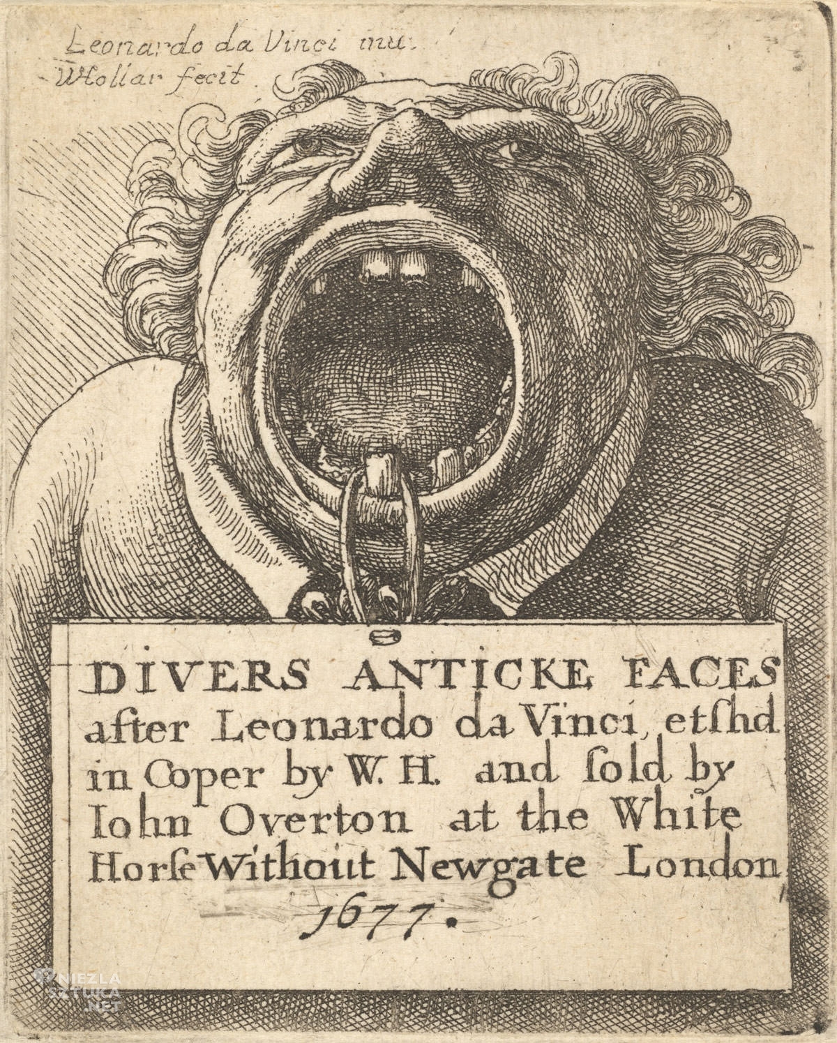 Václav Hollar - uważny ilustrator Europy » Niezła sztuka