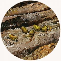 Bronisław Linke „Autobus” » Niezła sztuka