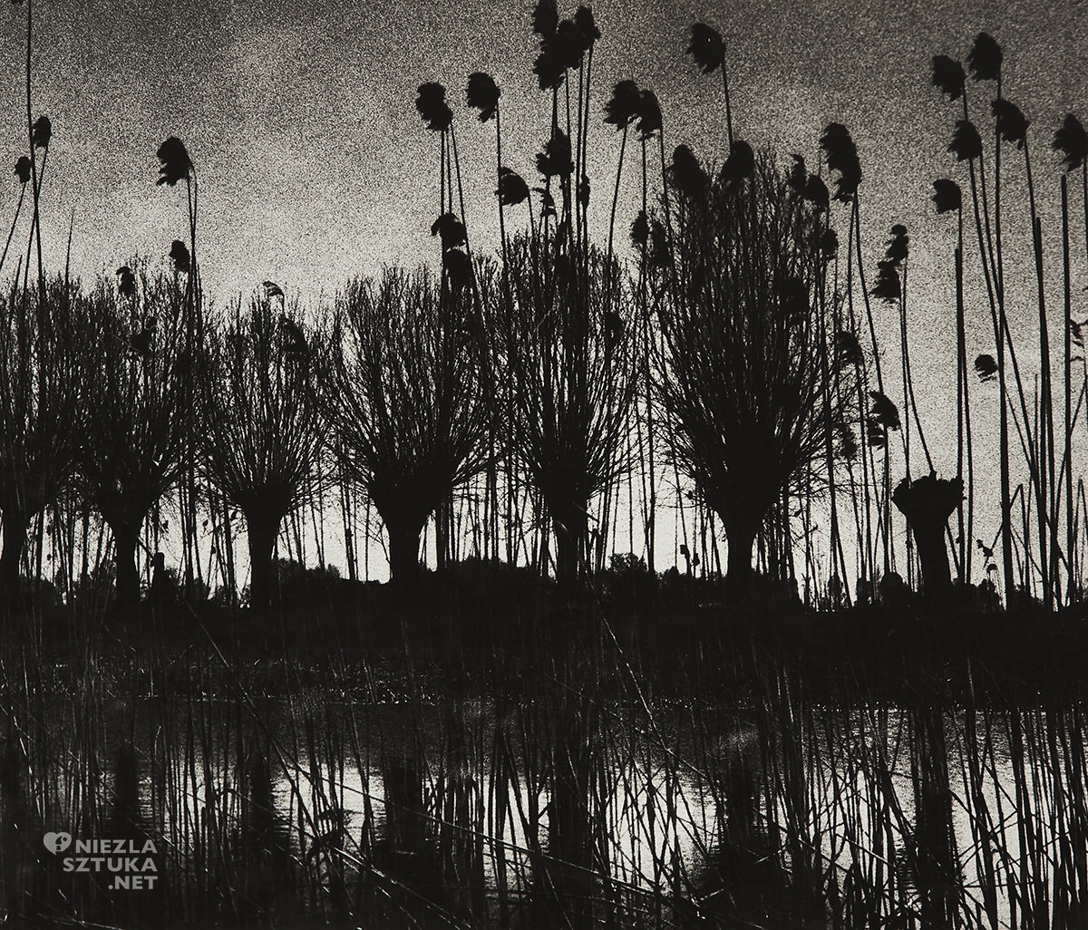 Edward Hartwig – fotograf, który chciał być malarzem » Niezła sztuka